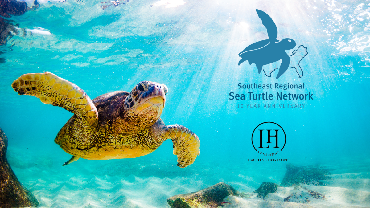 Limitless Horizons for the Southeast Regional Sea Turtle Network ...
